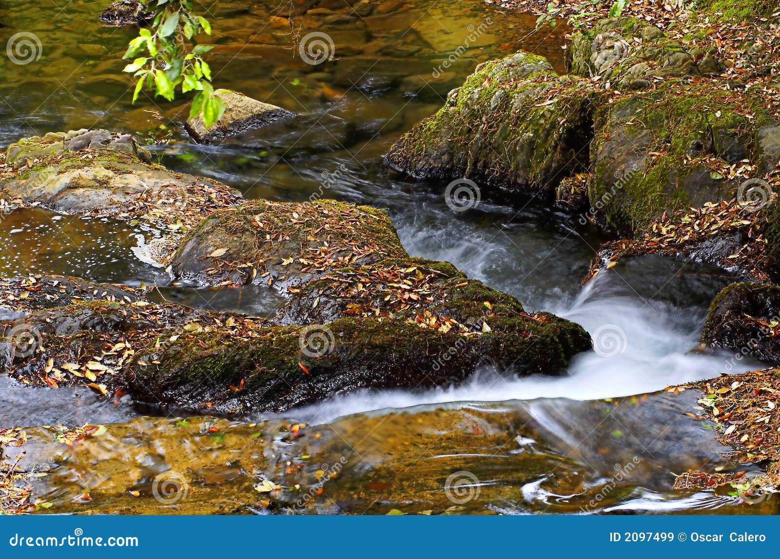 A peaceful river stock image. Image of silk, peaceful - 2097499