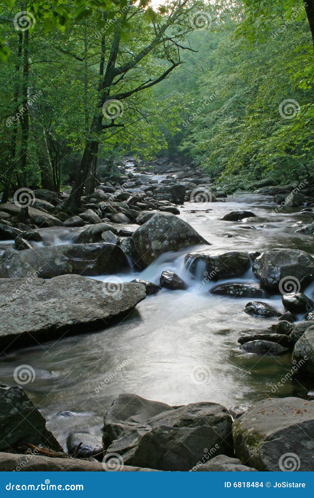 Peaceful River stock photo. Image of outdoors, relax, green - 6818484