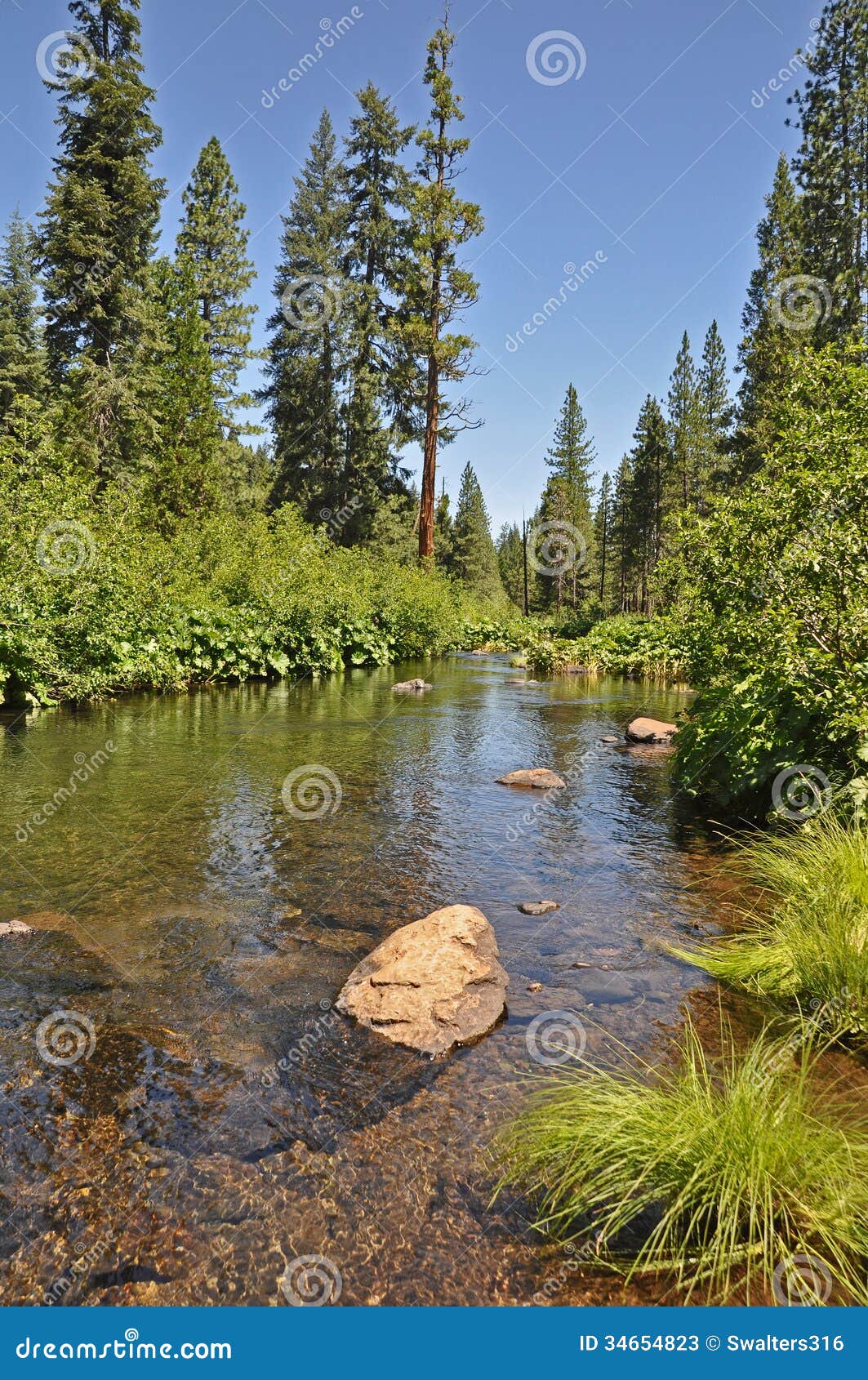 Peaceful river stock image. Image of green, plants, peaceful - 34654823