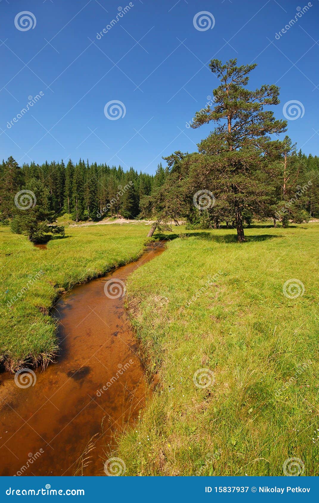 Peaceful river scene stock image. Image of brook, natural - 15837937