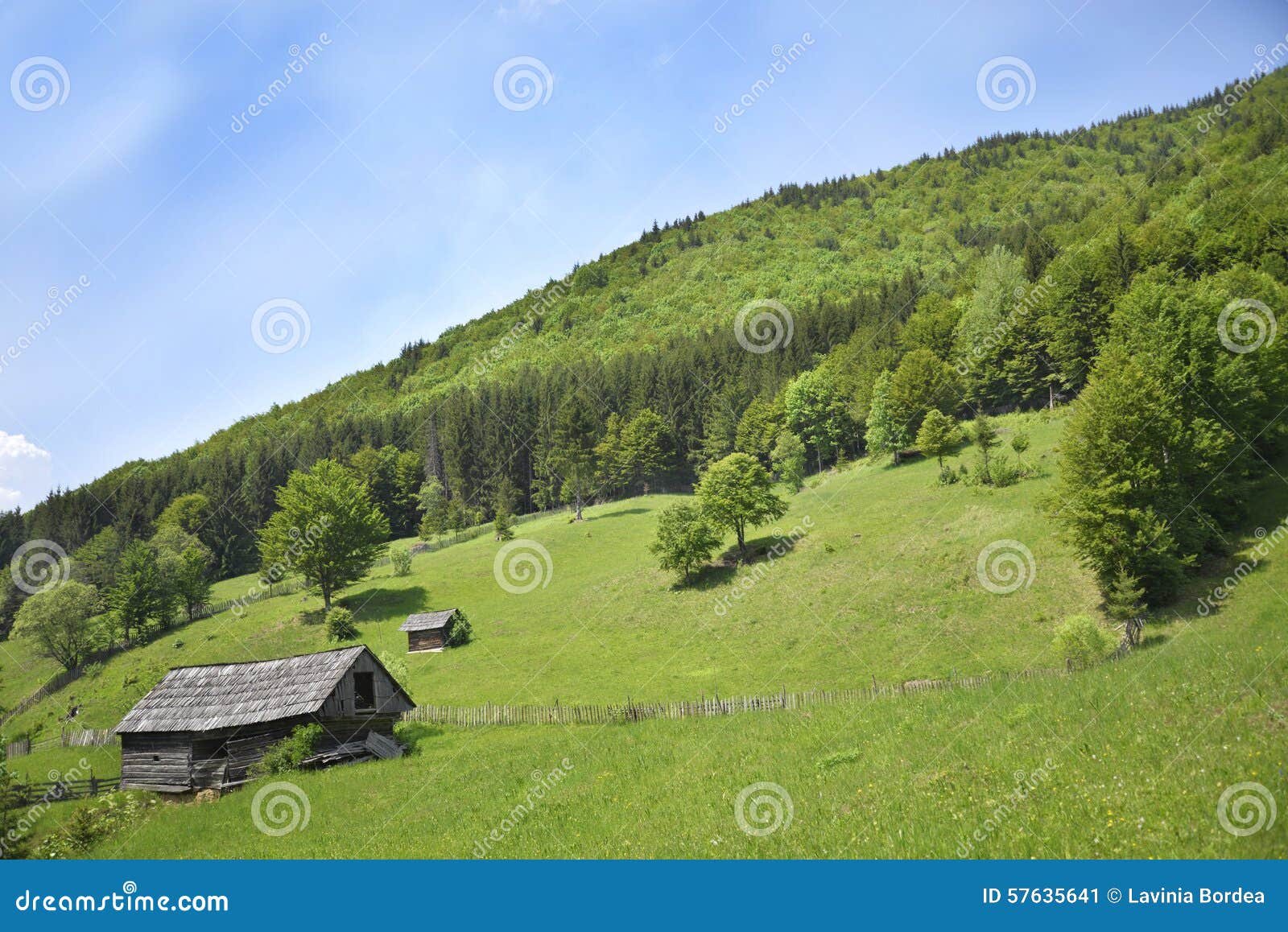 Peaceful rural area stock image. Image of nature, horizon - 57635641