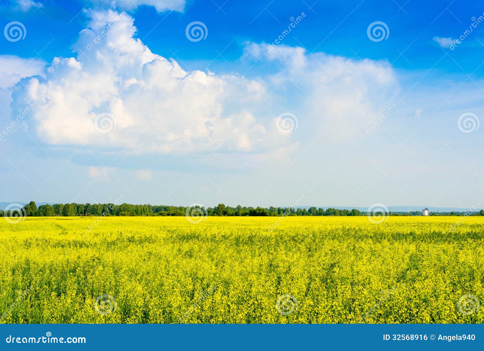 Peaceful Rural Landscape in Wide Field Stock Photo - Image of horizon ...