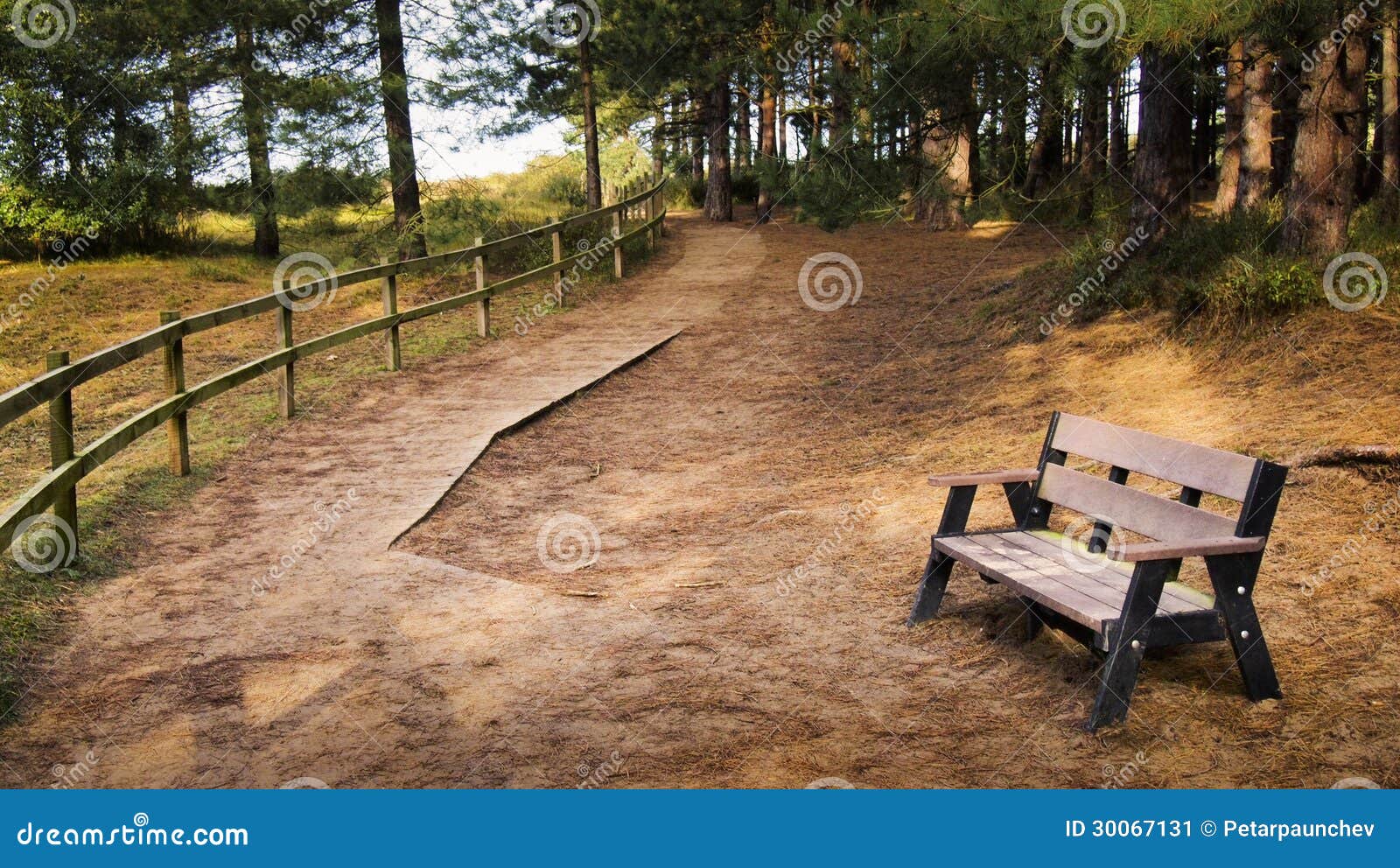 Rest on the journey stock image. Image of path, green - 30067131