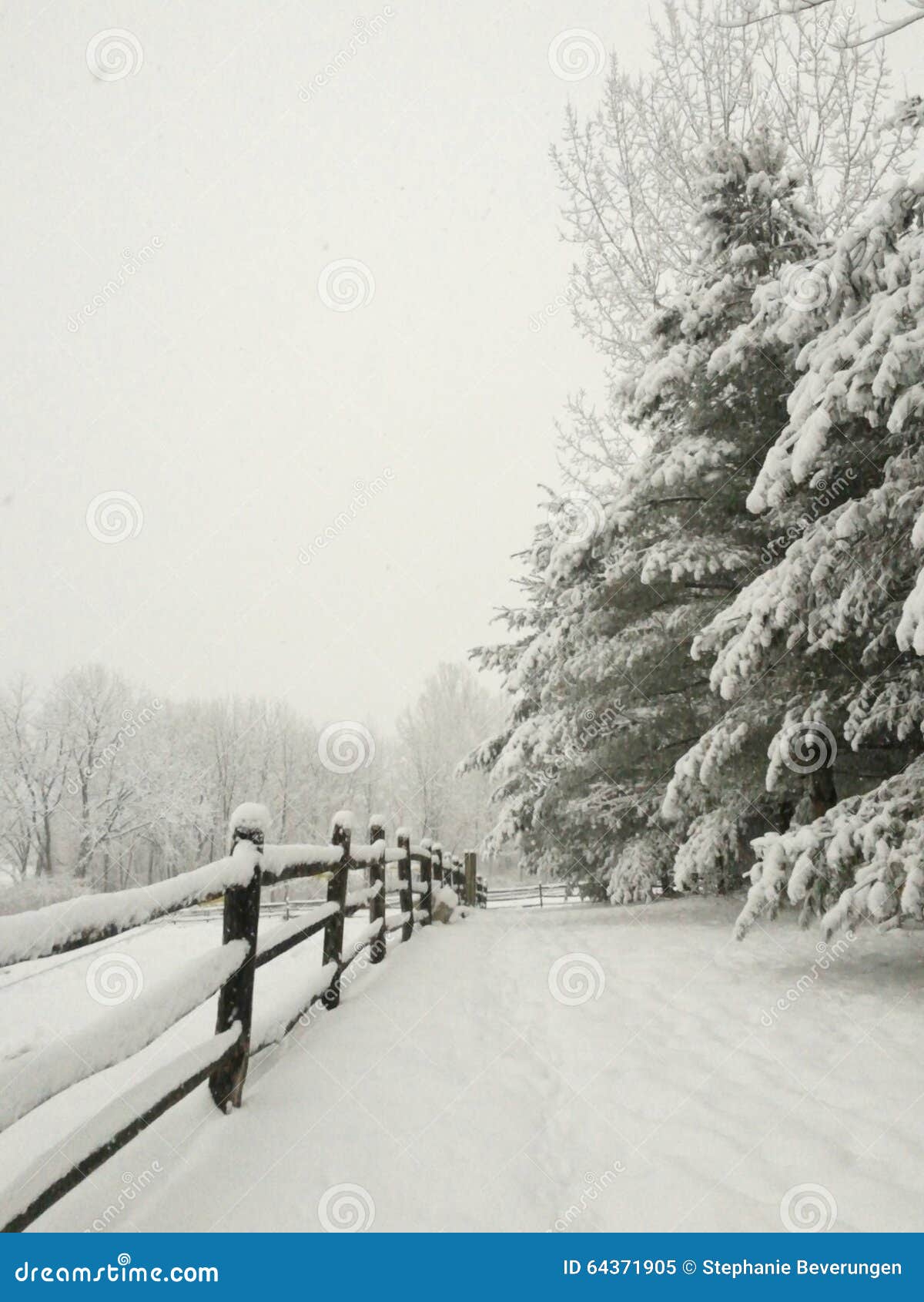 Peaceful Rural Winter Scene Stock Image - Image of cold, snow: 64371905