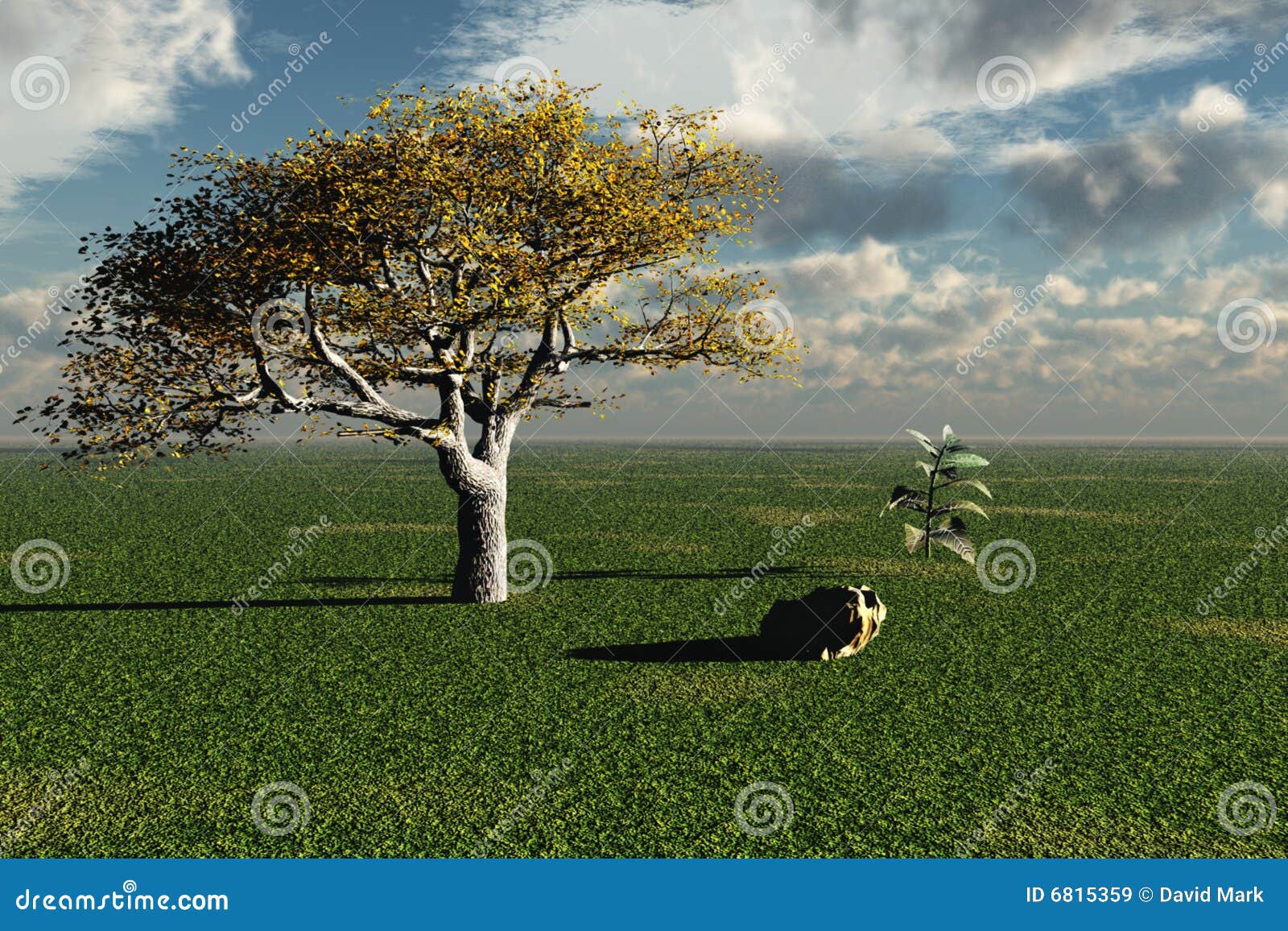 Peaceful Scene Picture. Image: 6815359