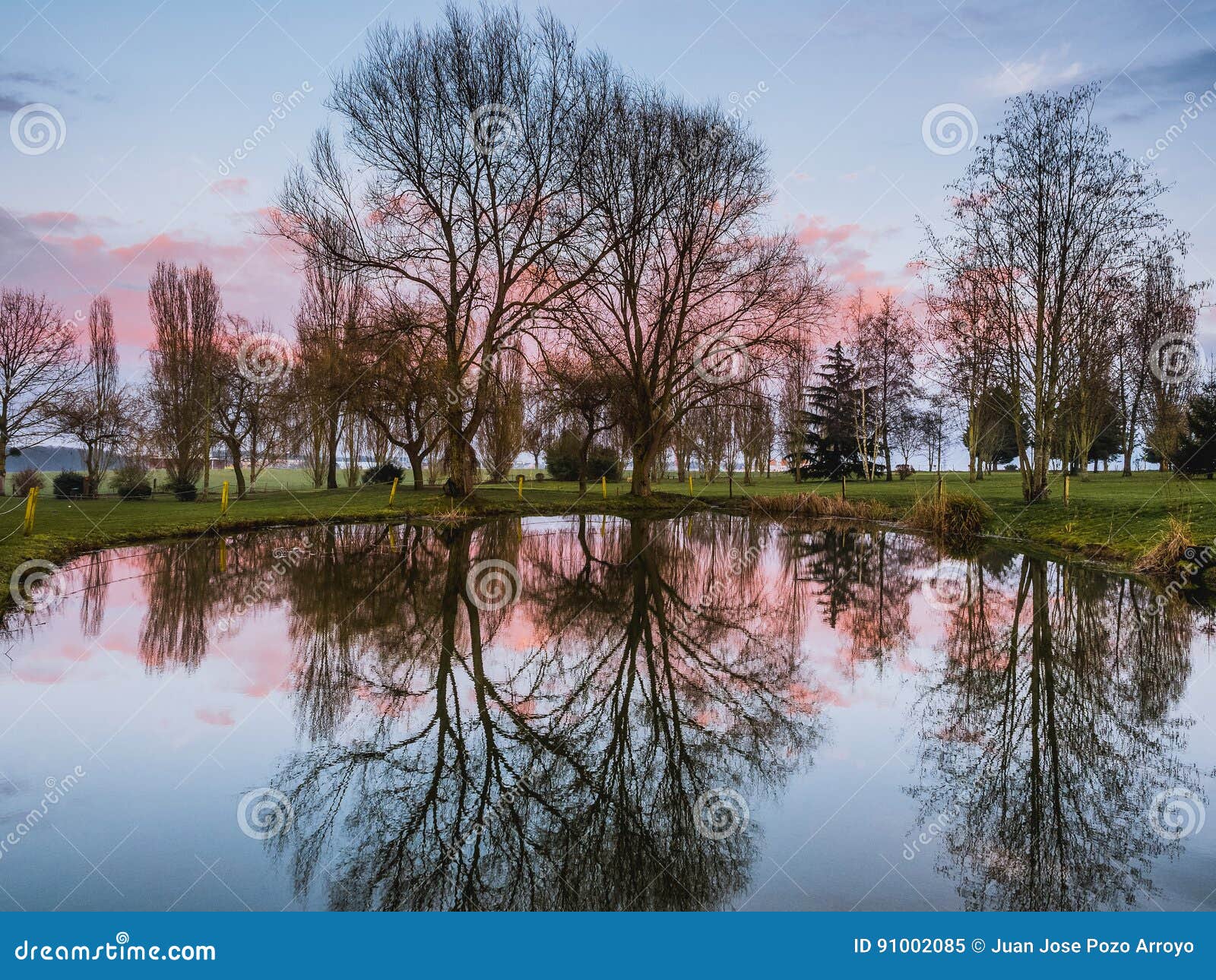 Peaceful scene. stock image. Image of river, springtime - 91002085