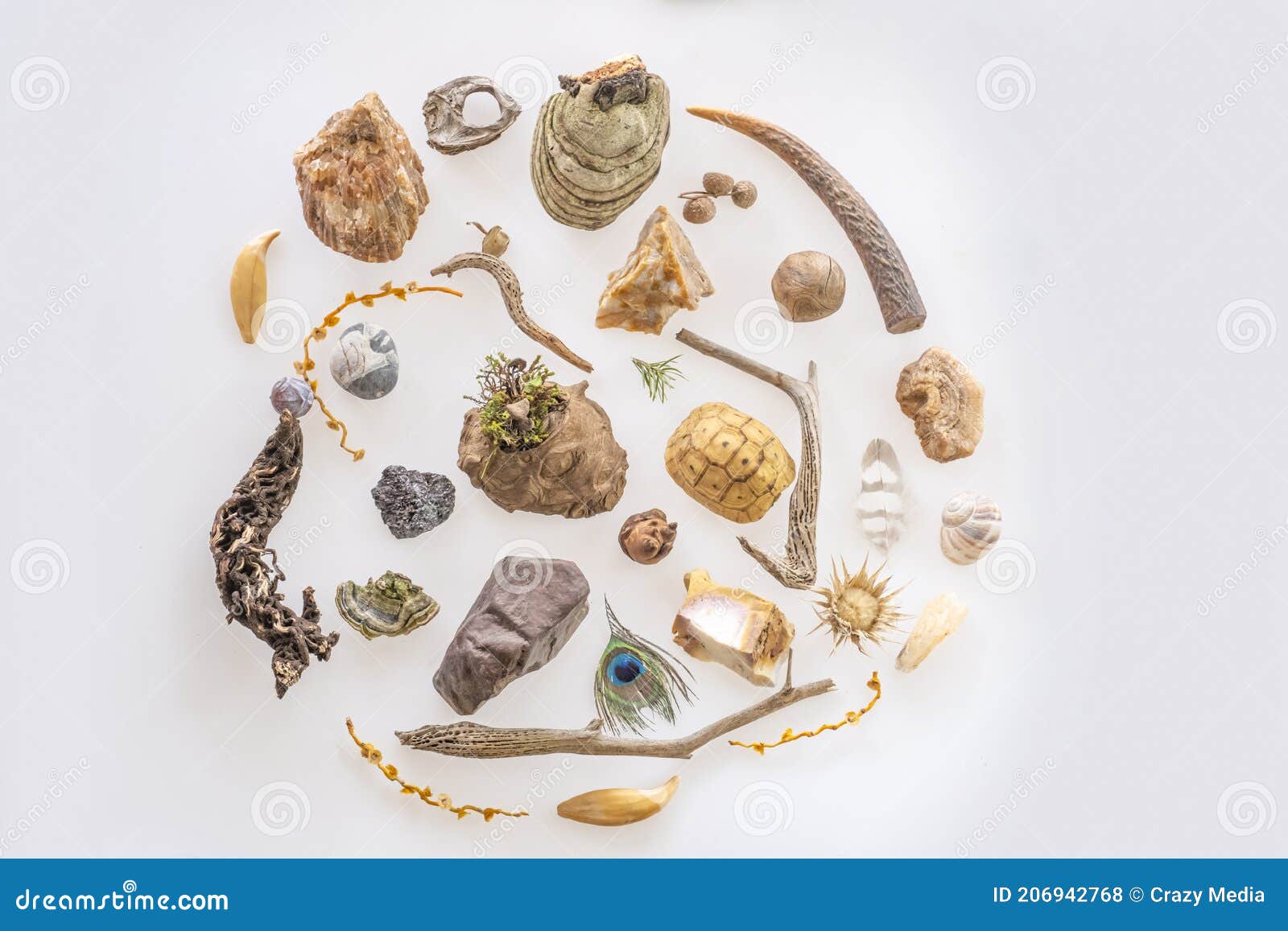 Peaceful Small Objects in Nature and Background Texture Stock Photo ...