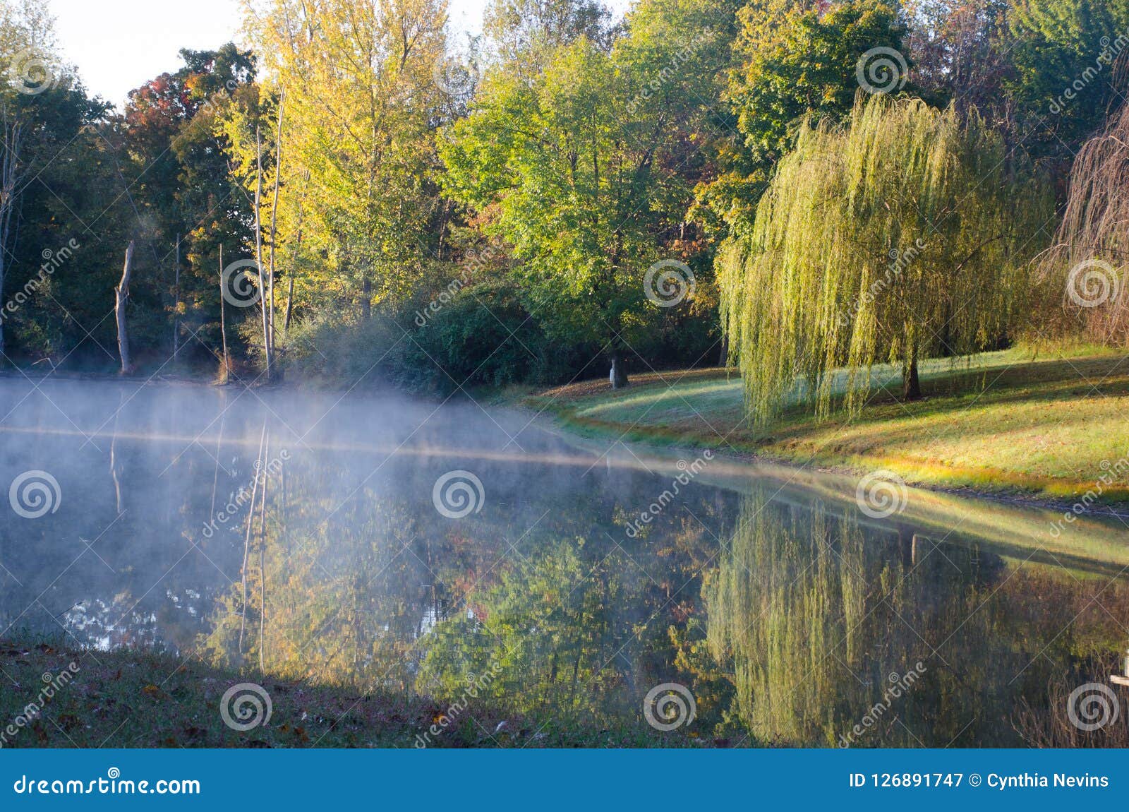 A Peaceful Spot in the Midwest Stock Image - Image of green, mountain ...