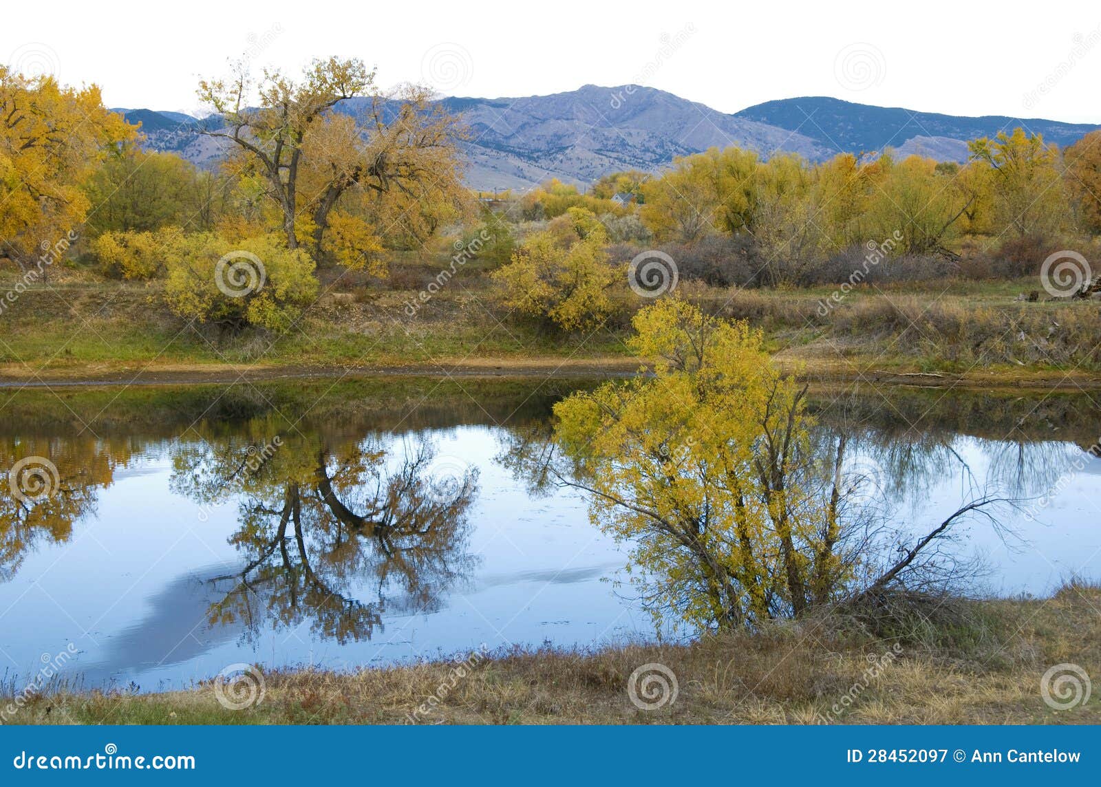 Peaceful Still Pond stock image. Image of serene, colorado - 28452097