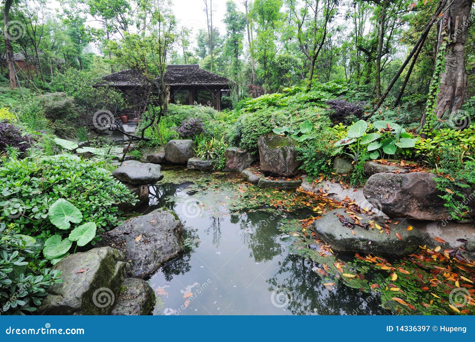Peaceful stream stock image. Image of feng, fall, moist - 14336397