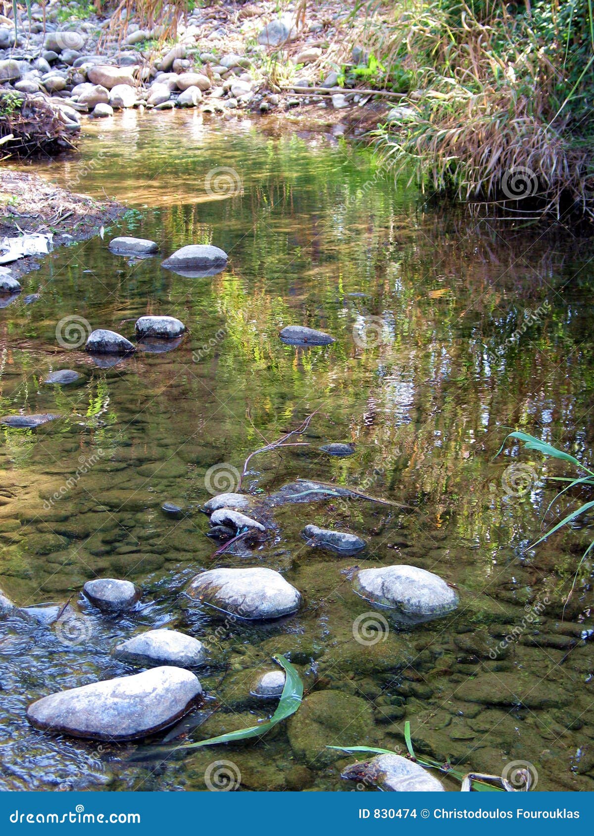 Peaceful stream stock photo. Image of flowing, details - 830474