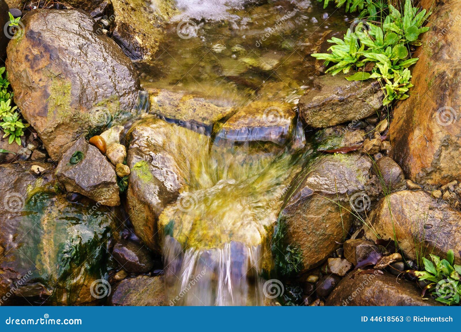Peaceful stream stock image. Image of stream, freshness - 44618563