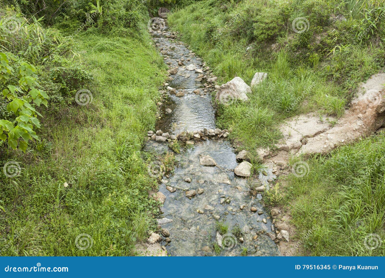 Peaceful Stream Flows through Lush Forest,and Small Dams To Store Water ...