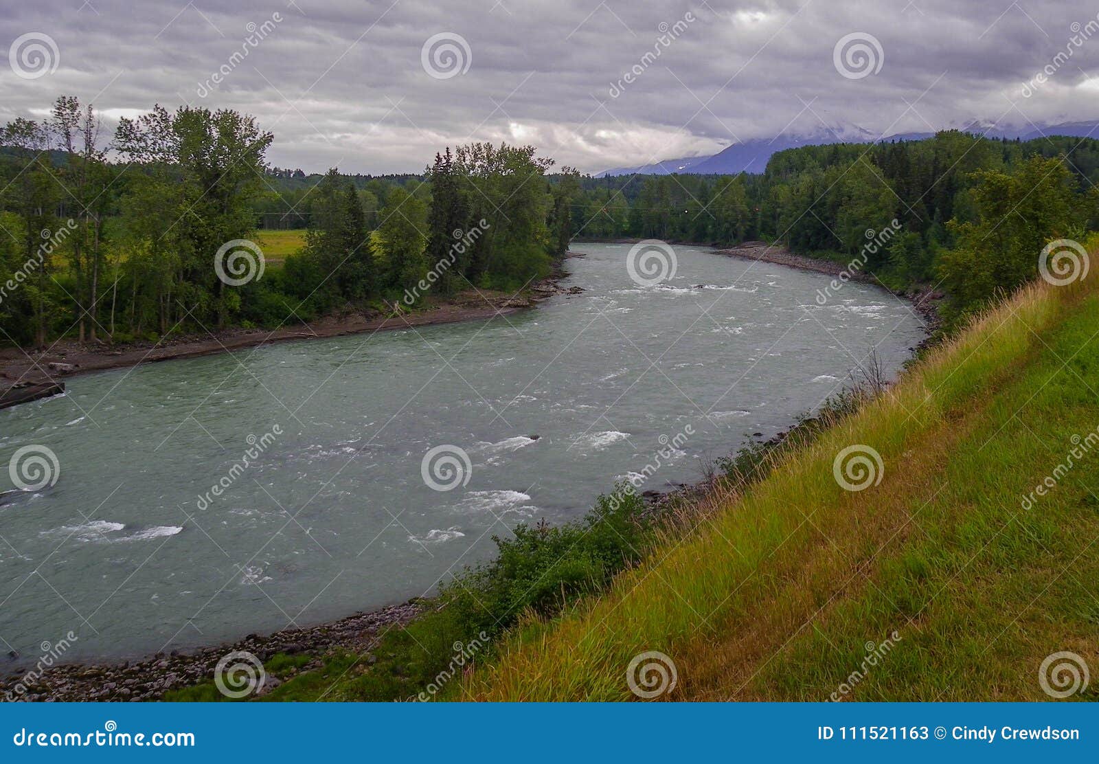 Beautiful River Flowing by on a Beautiful Day Stock Image - Image of ...