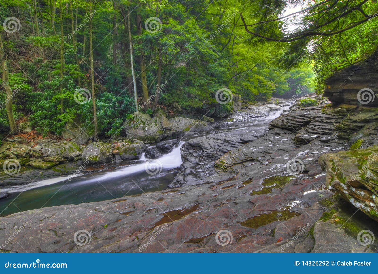 Peaceful Stream in Pennsylvania Stock Photo - Image of paradise, biking ...