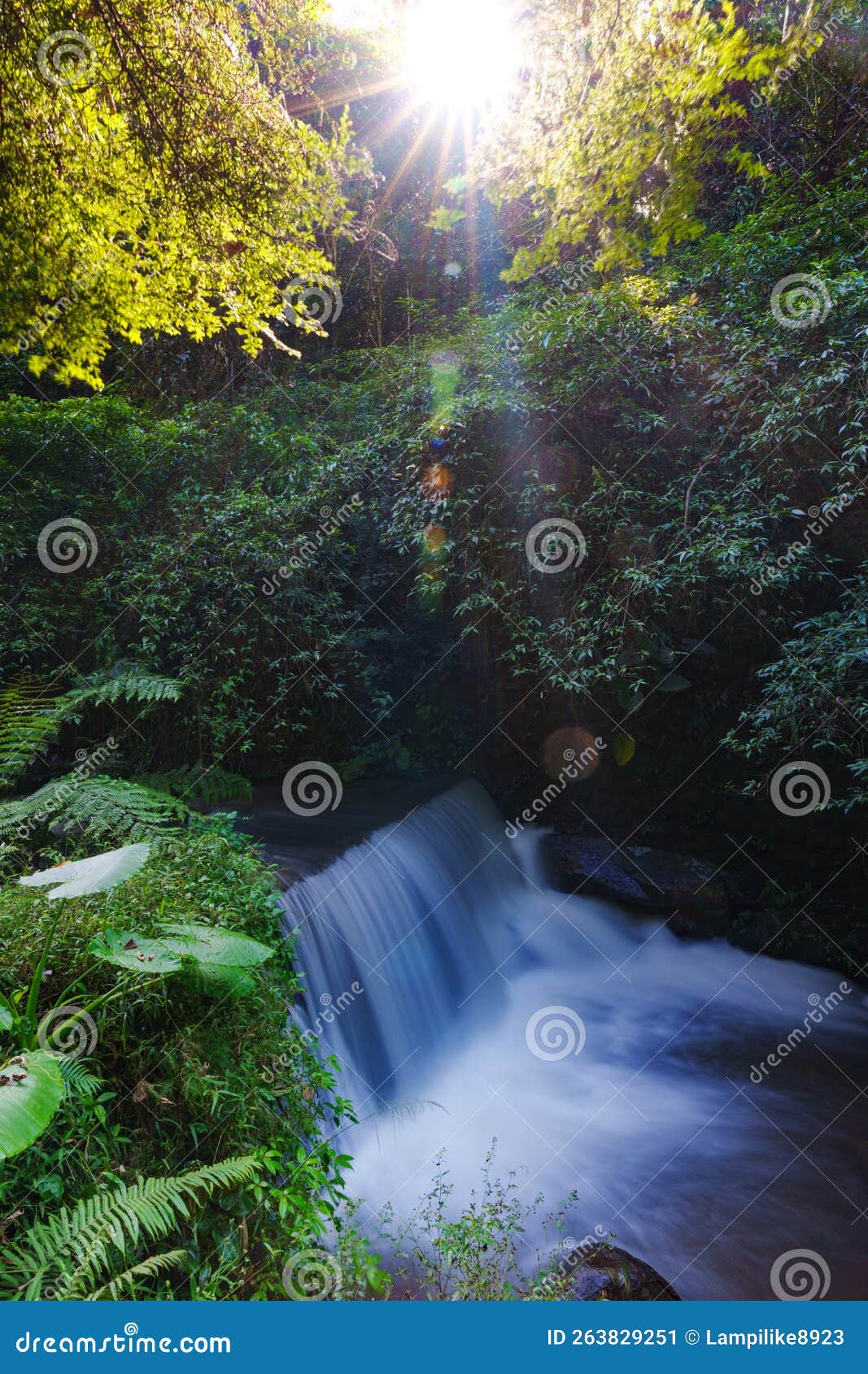 The Peaceful Stream Under the Warm Sunlight Stock Image - Image of ...