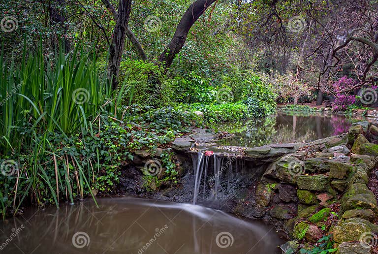 Peaceful Stream and Waterfall in Spring Stock Photo - Image of relaxing ...