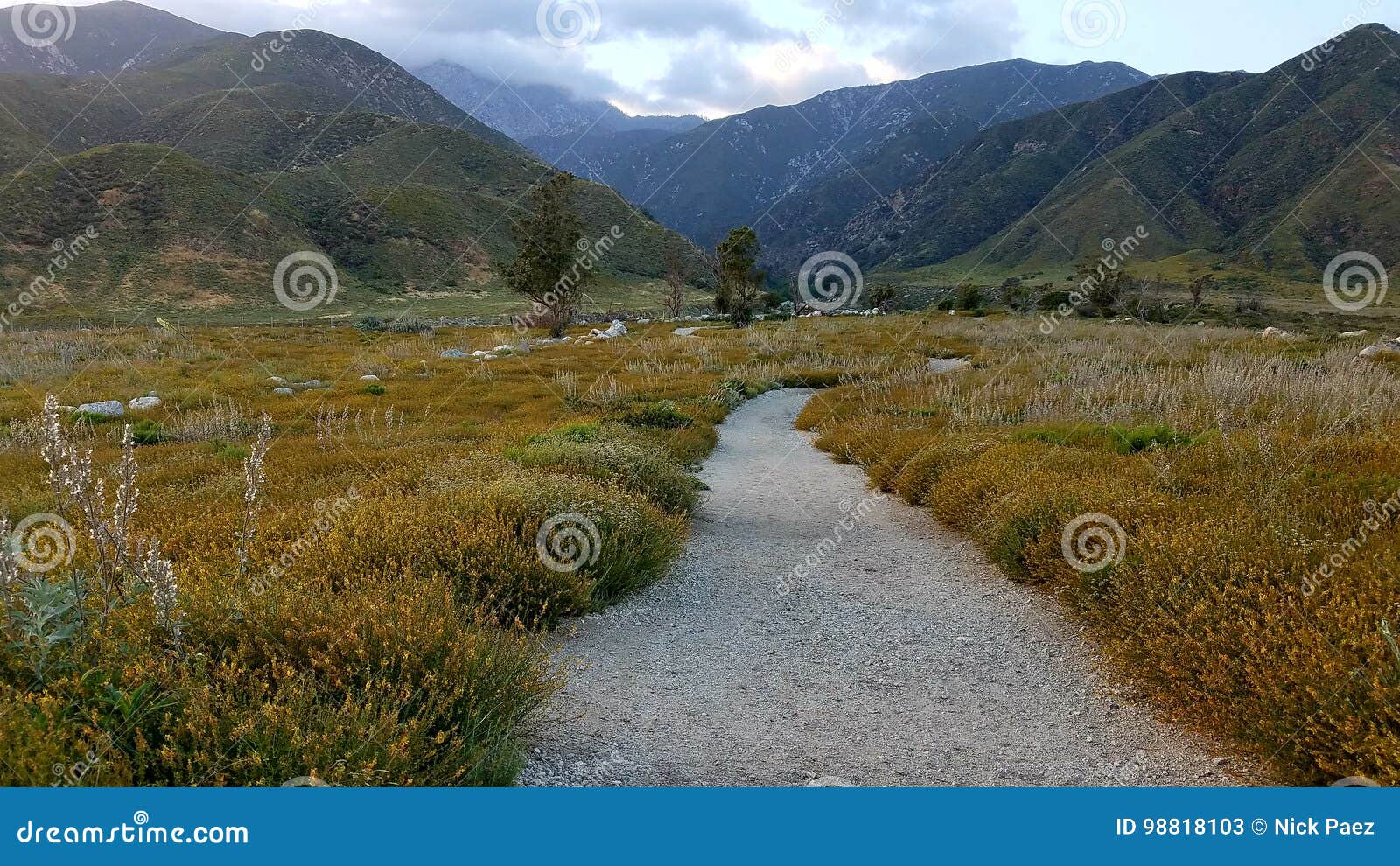 Peaceful Trail stock image. Image of mountains, nature - 98818103