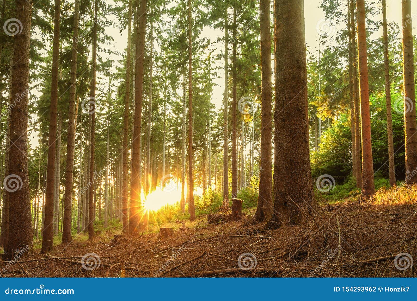 Peaceful or Tranquil Nature Scene Stock Photo - Image of bright ...