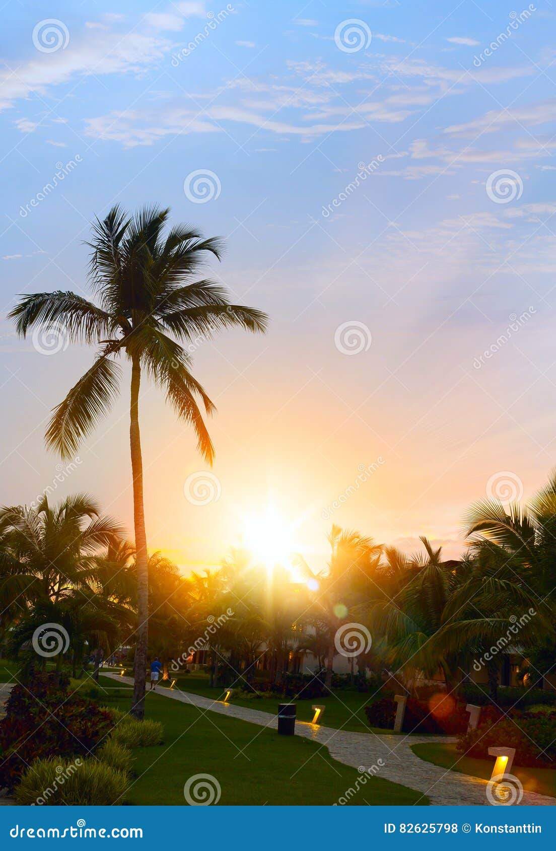 Peaceful Tropical Background; Sunset in the Tropic Stock Photo - Image ...