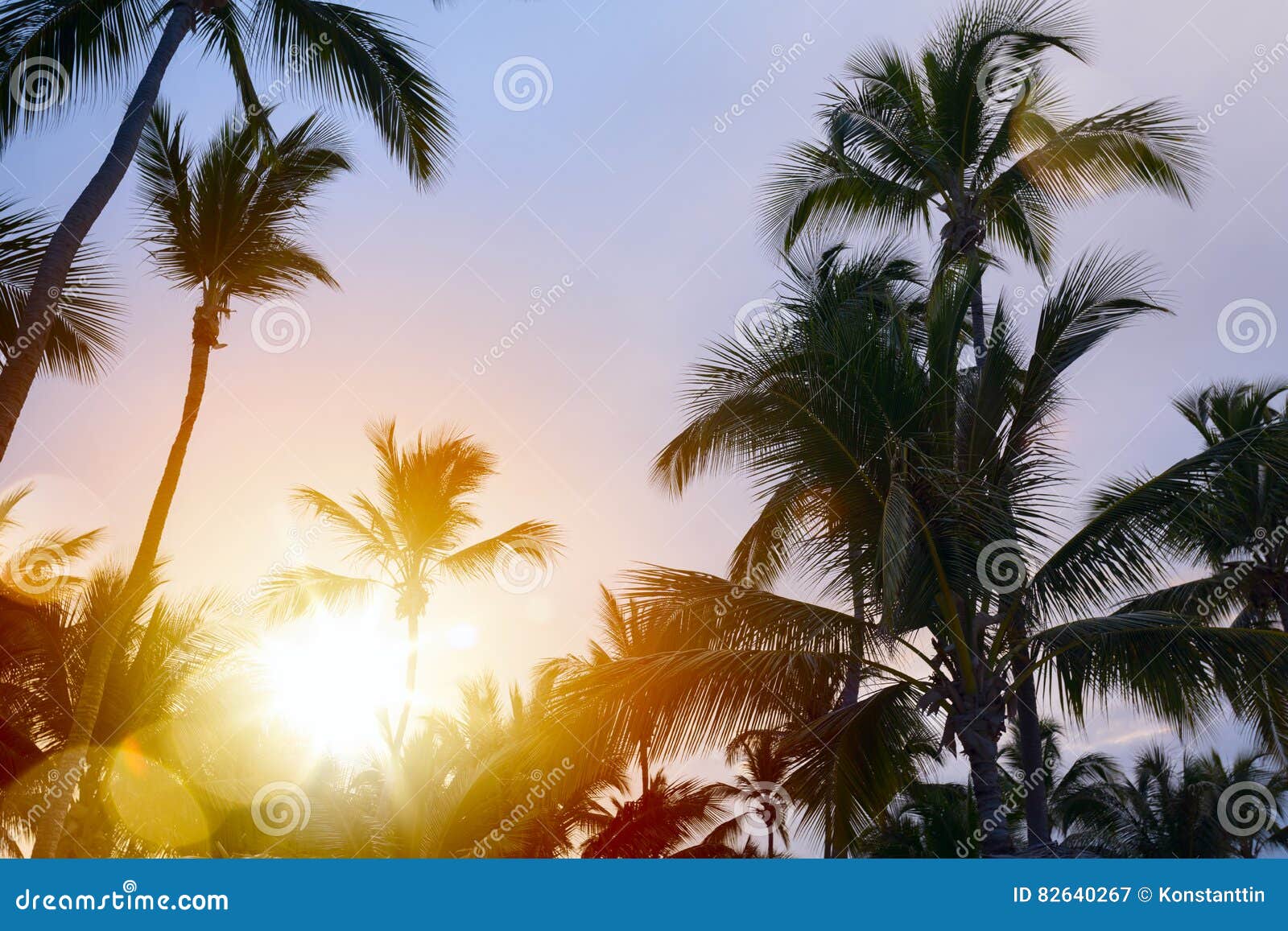 Peaceful Tropical Background; Sunset in the Tropic Stock Image - Image ...