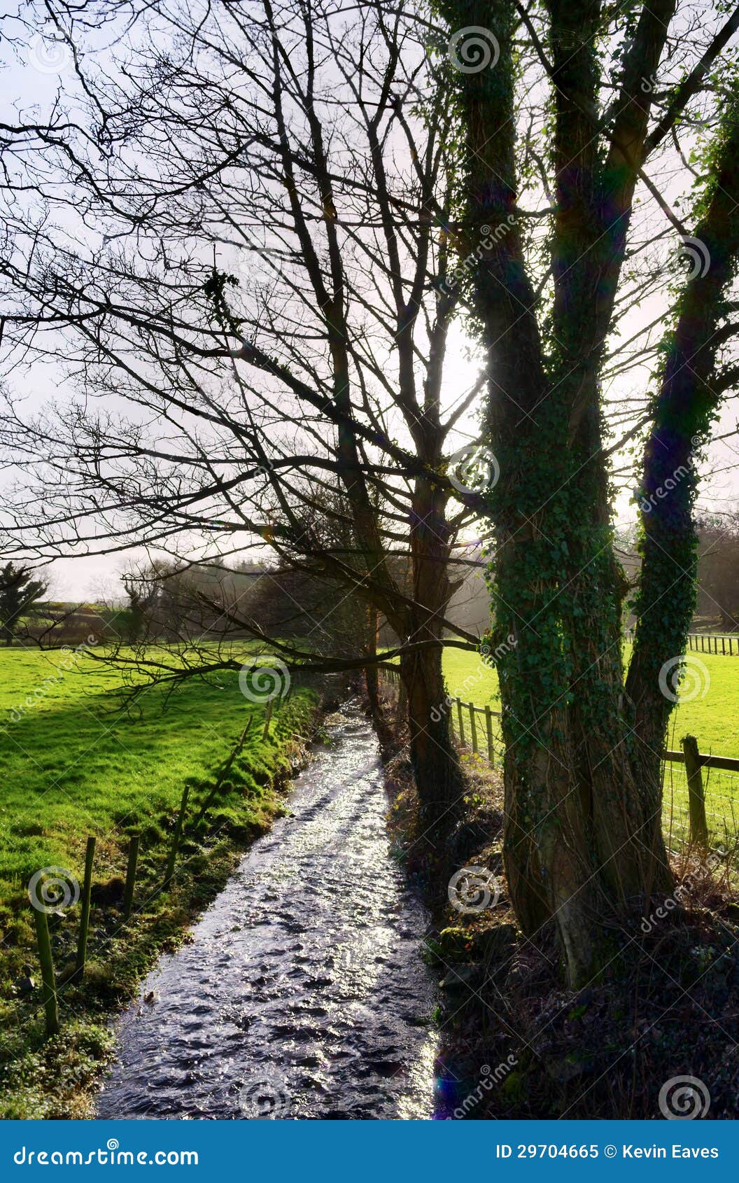 Tree Lined Stream in Cartmel, Cumbria Stock Image - Image of peaceful ...
