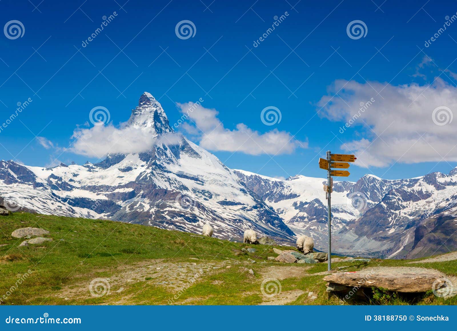Peaceful View on the Swiss Alps Stock Photo - Image of field, lake ...