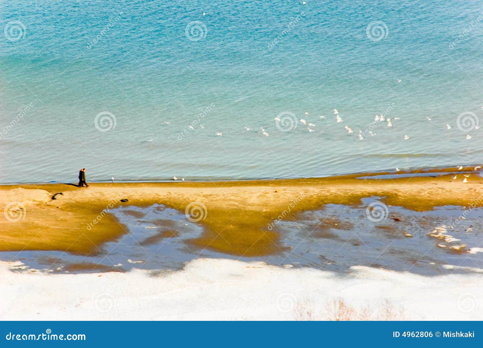 Peaceful Walk stock photo. Image of walking, snow, outline - 4962806