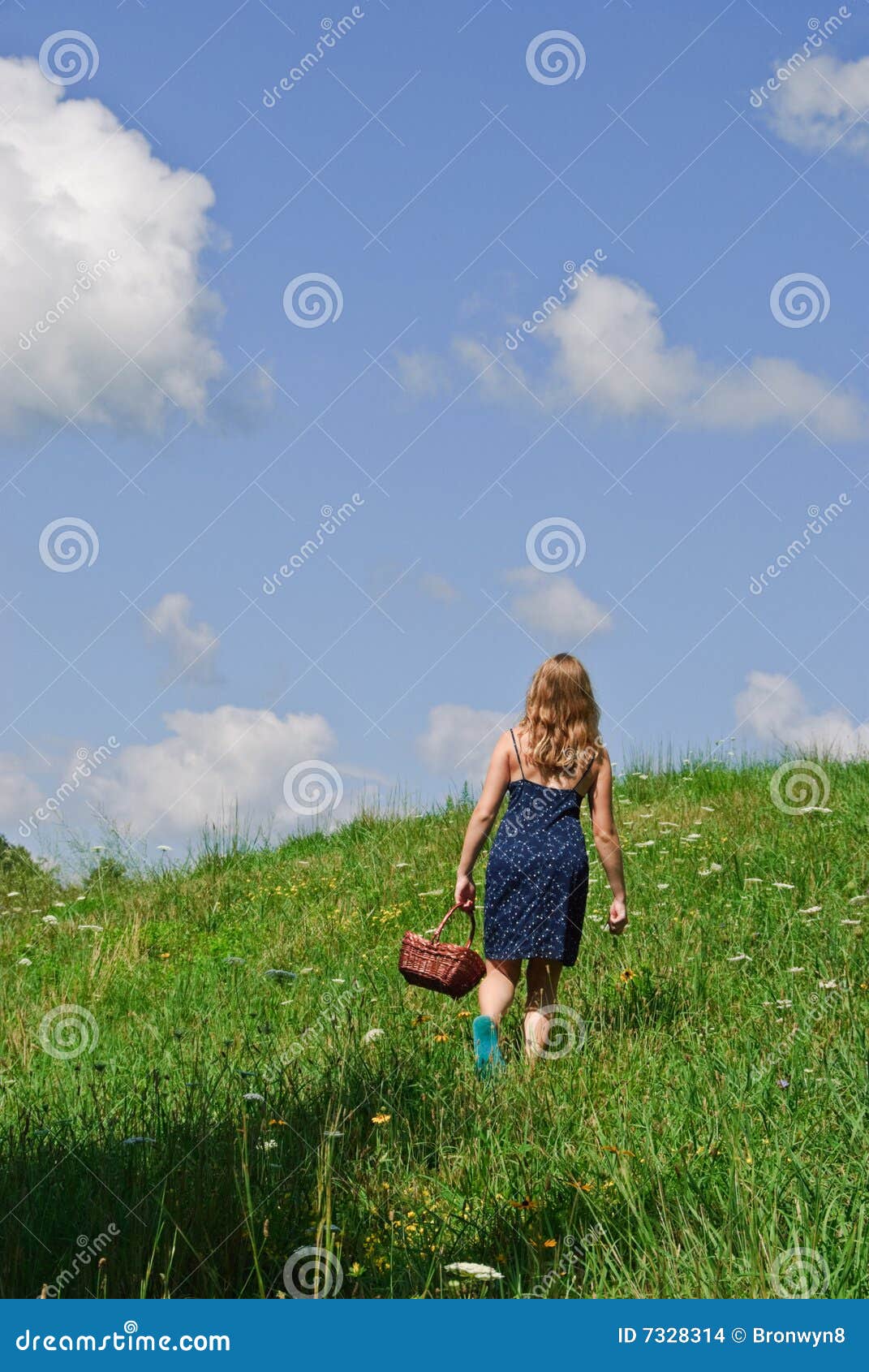 Peaceful Walk stock photo. Image of enjoyment, fresh, people - 7328314