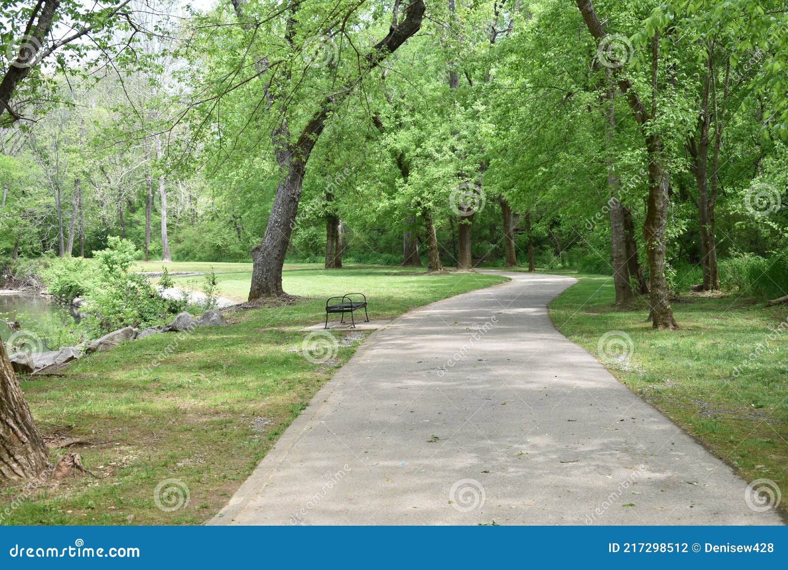 Peaceful Walking Path Lined with Trees in the Countryside of Rural ...