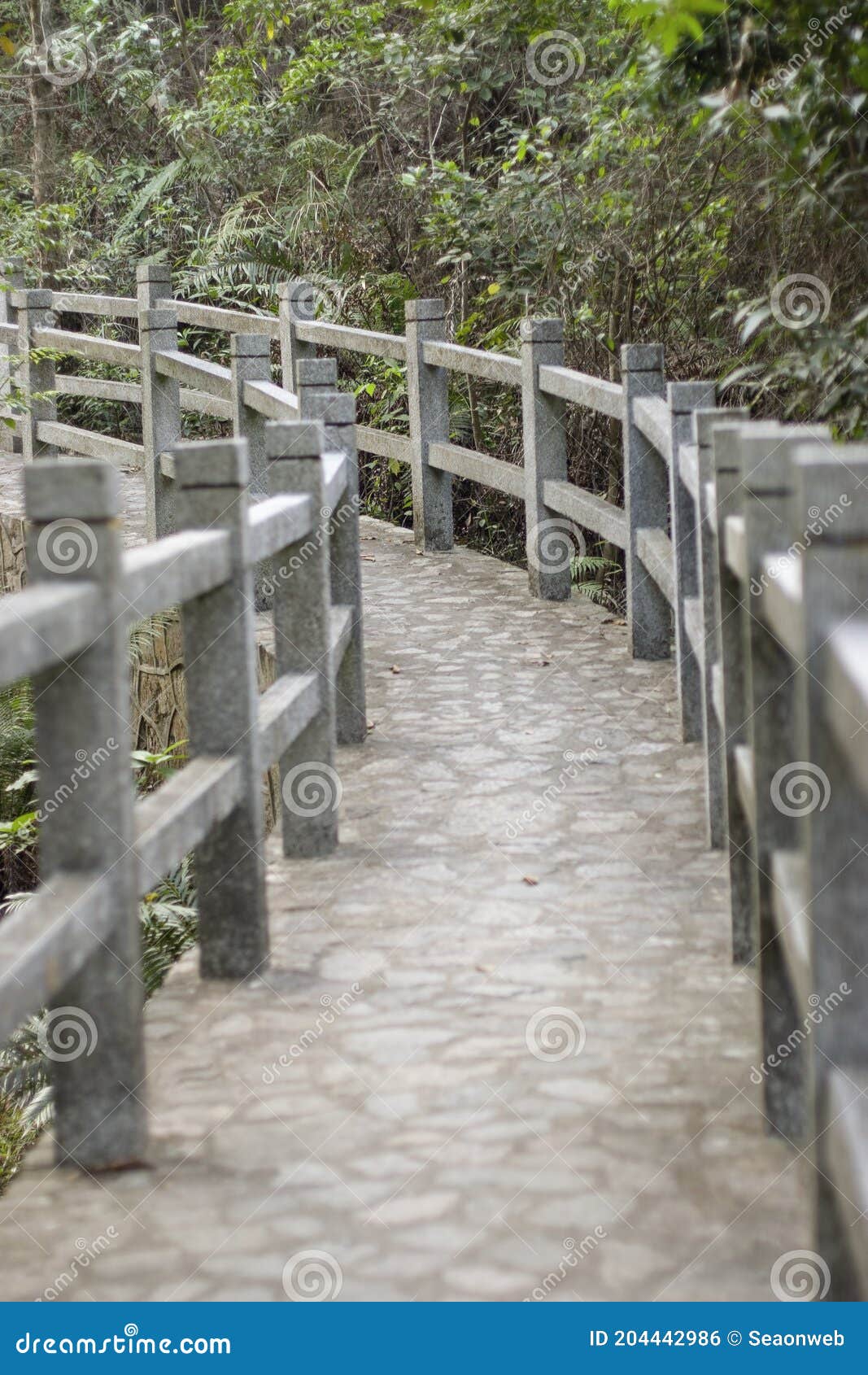 A Peaceful Walkway, Beautiful Forest Path at Hk Editorial Photo - Image ...