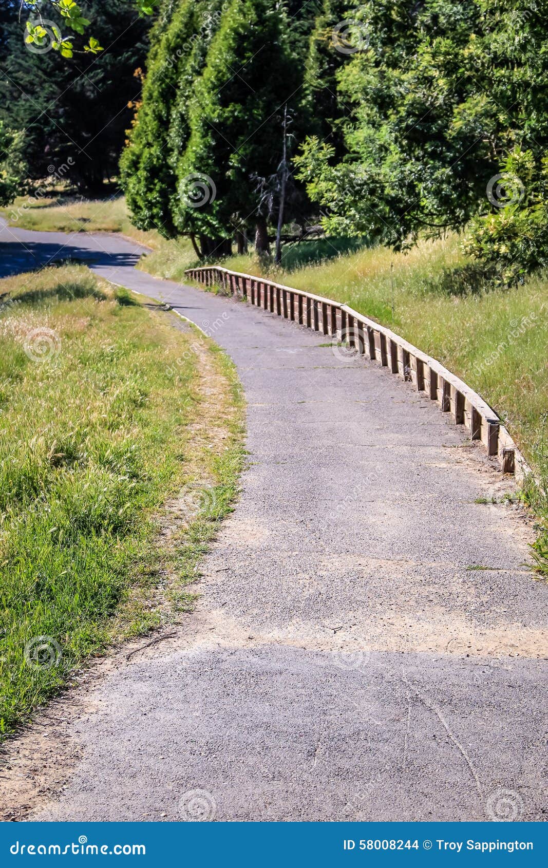 A Peaceful Walkway through the Trees in the Park. Stock Photo - Image ...