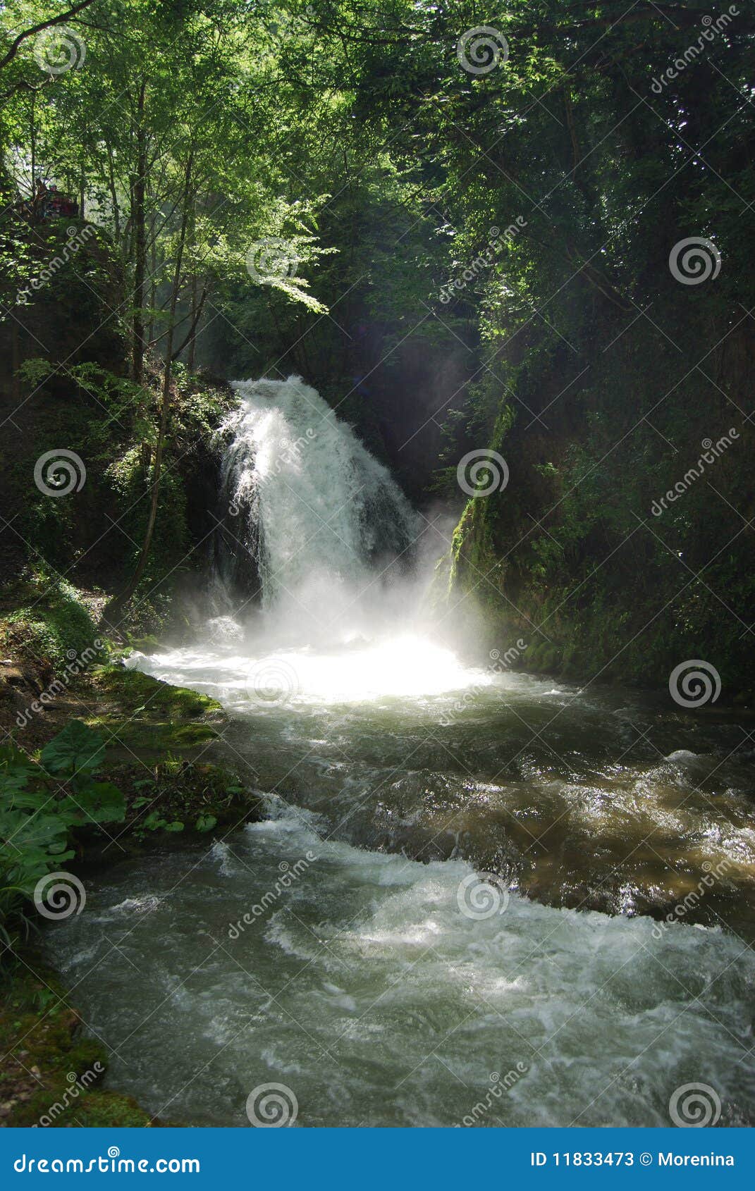 Peaceful waterfall stock image. Image of fall, botanical - 11833473