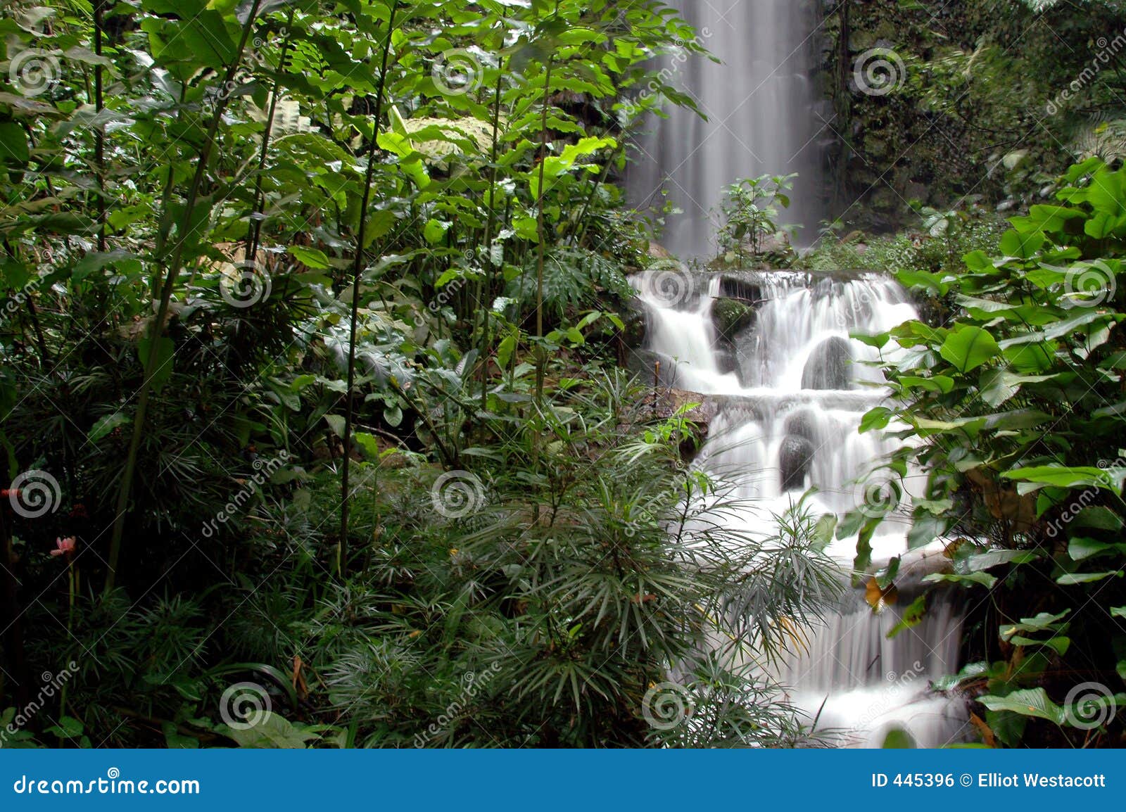 Peaceful Waterfall stock photo. Image of tropical, flow - 445396
