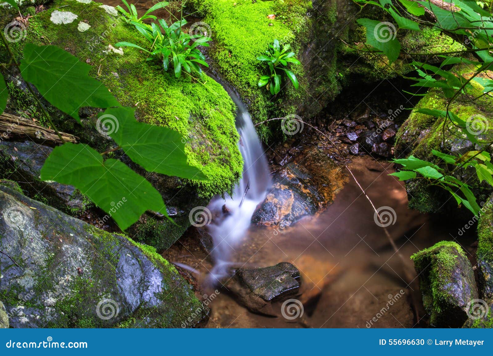 Peaceful Waterfall In Pennsylvania Forest Stock Photo | CartoonDealer ...