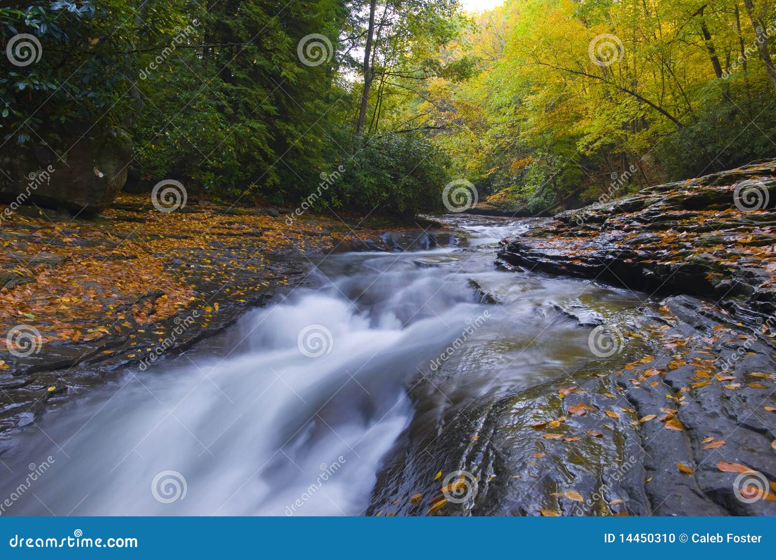 Peaceful Waterfall in Pennsylvania Forest Stock Photo - Image of ...