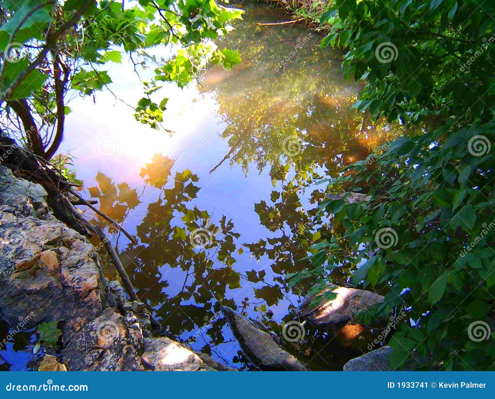 Peaceful Waters stock image. Image of stream, afternoon - 1933741