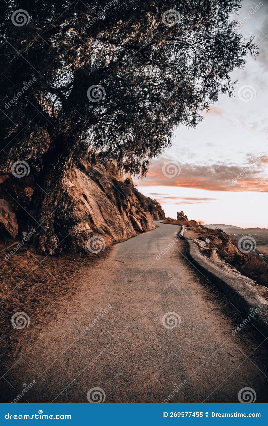A Narrow Road with Rocks and a Tree on the Side Stock Image - Image of ...
