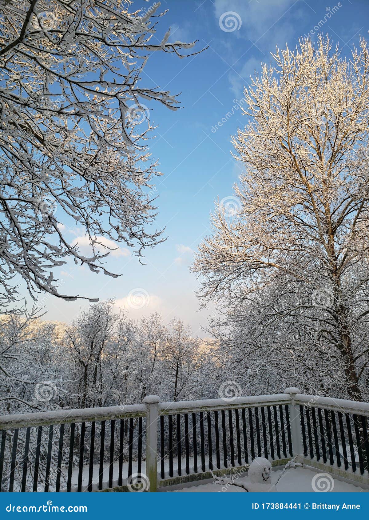 Peaceful Winter Morning stock image. Image of trees - 173884441