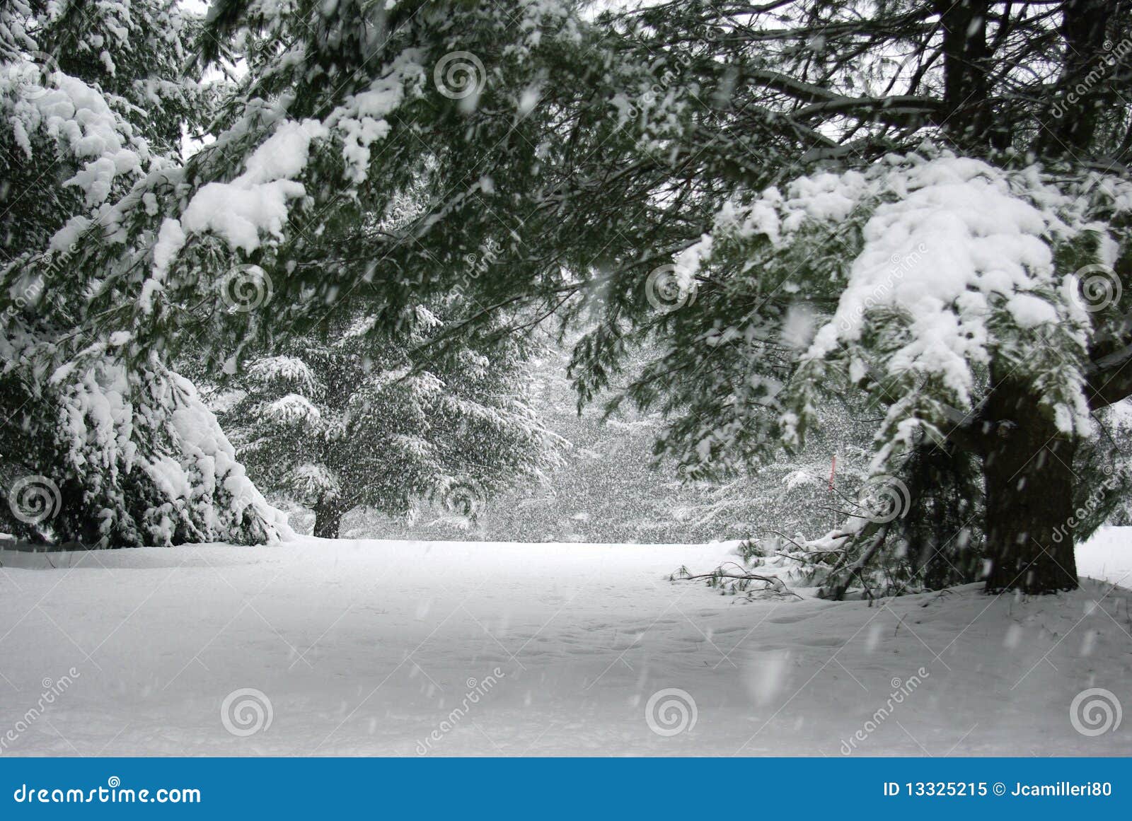 Peaceful winter scene stock image. Image of winter, urban - 13325215