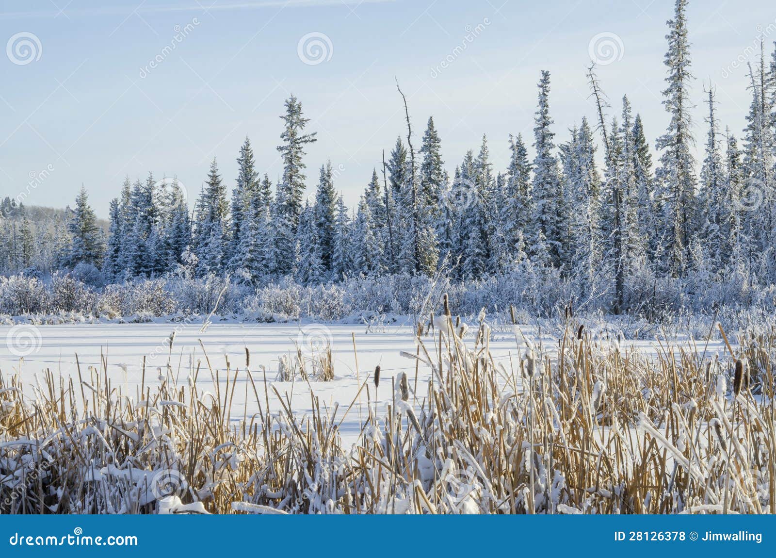 Peaceful Winter Scene stock photo. Image of fresh, card - 28126378
