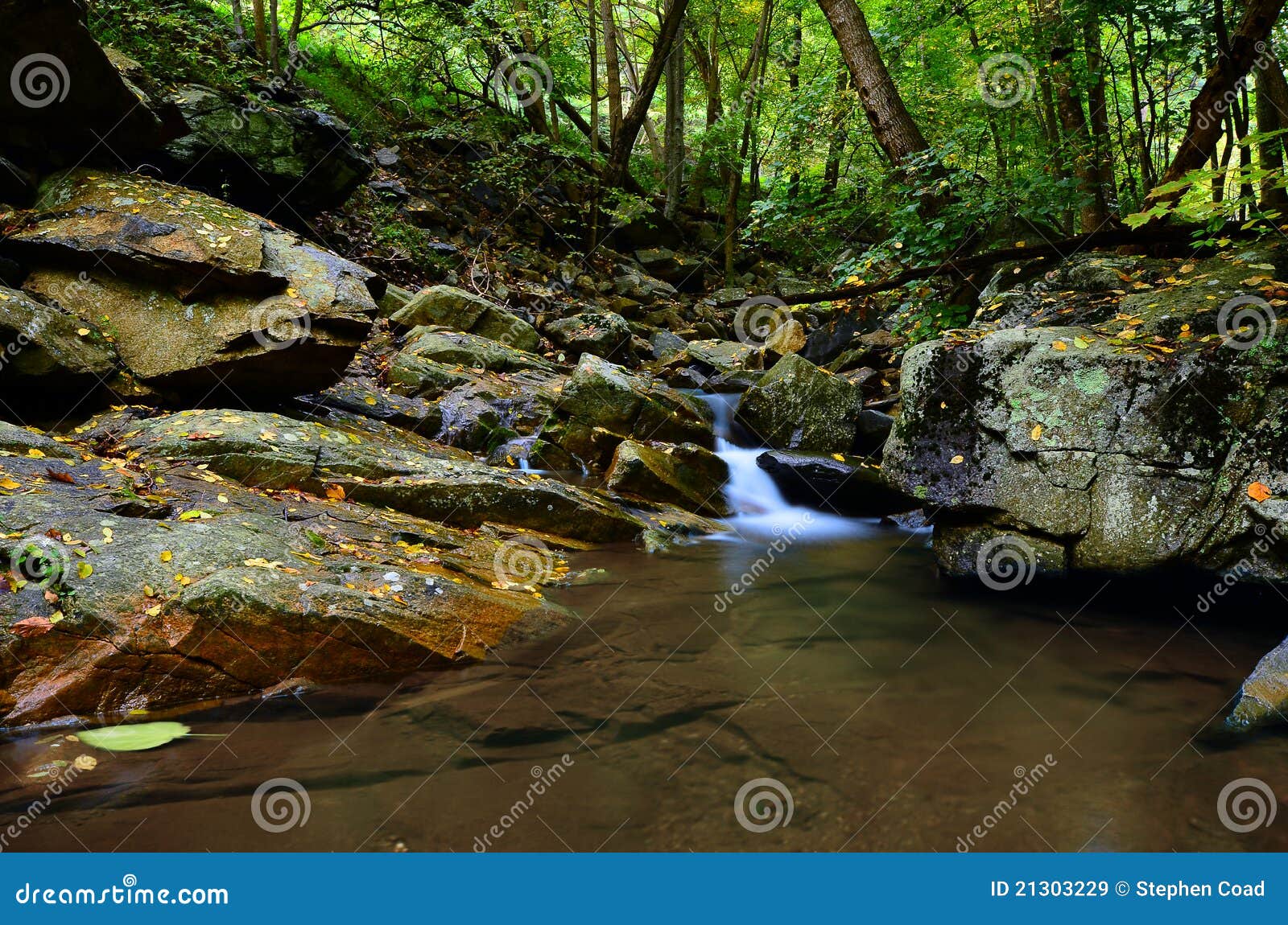 Peaceful Woodland Stream stock image. Image of pool, ridge - 21303229