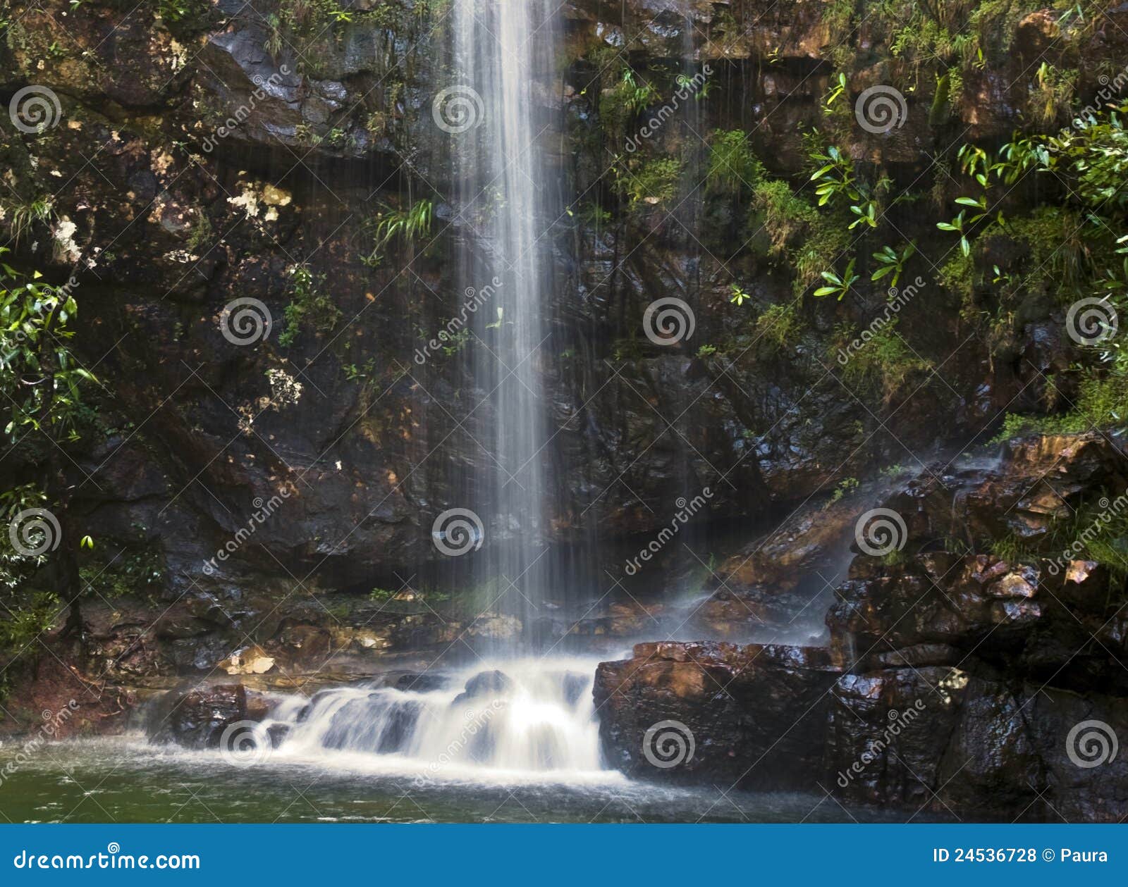 Peacefull Waterfall stock photo. Image of botanical, multi - 24536728