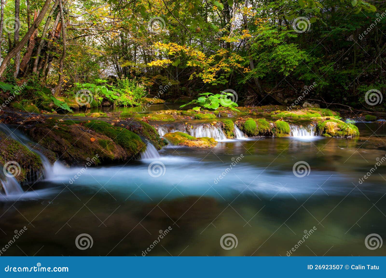 Peacefully Flowing Stream and Autumn Foliage Stock Image - Image of ...