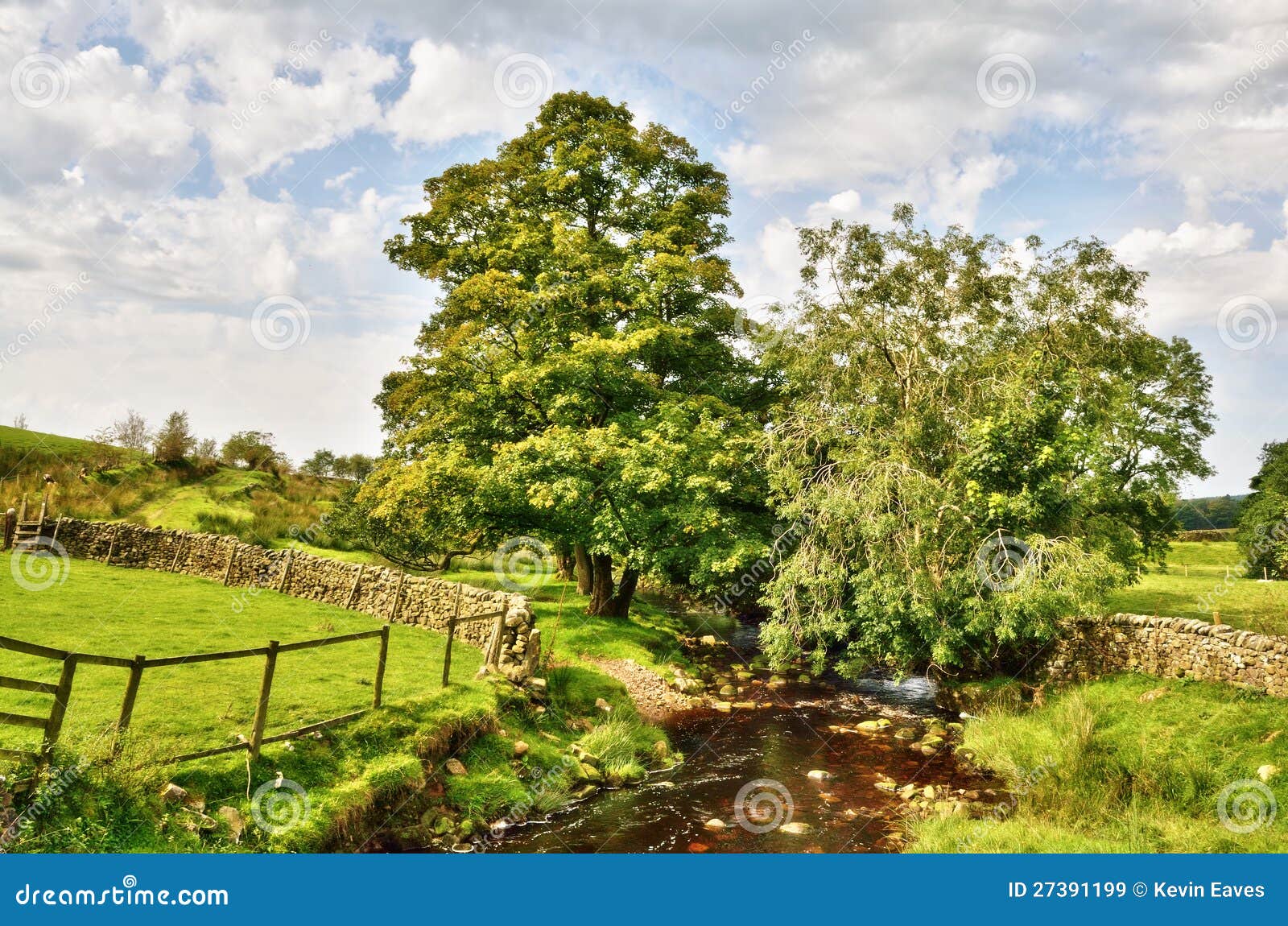 Peacefully Flowing Stream with Overhanging Trees Stock Image - Image of ...