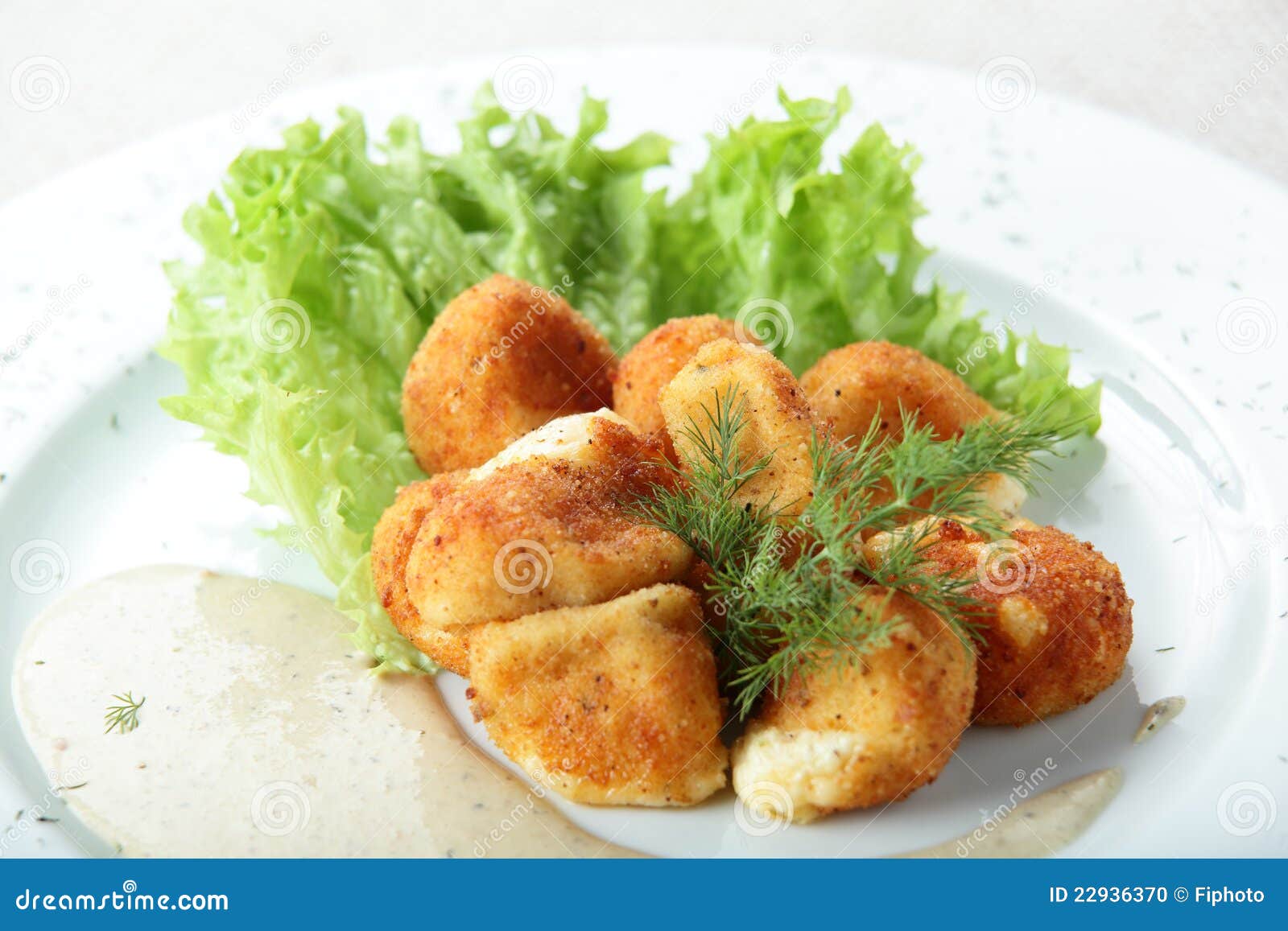 Peaces of chicken stock photo. Image of bread, dish, dinner - 22936370