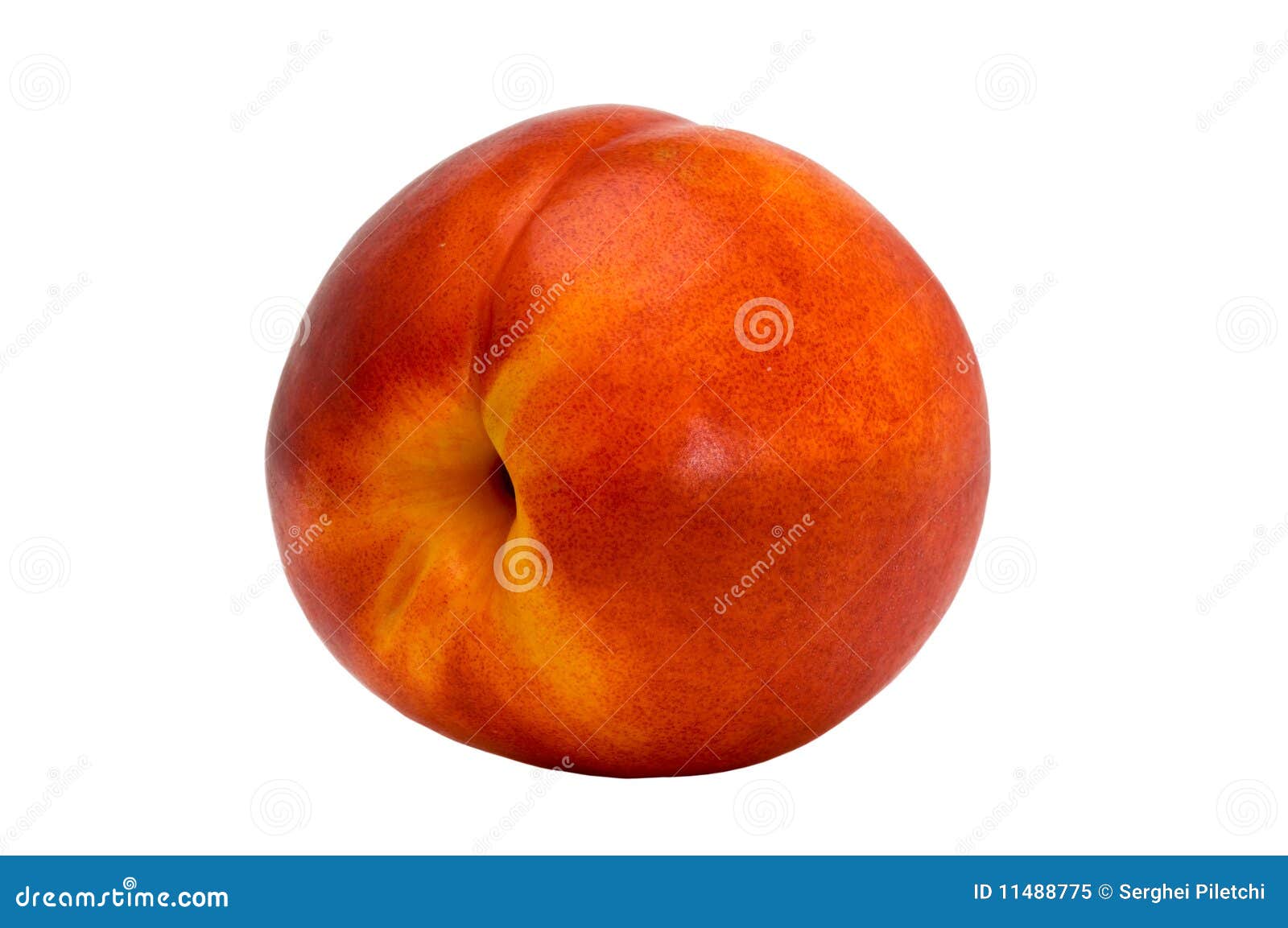Peach. stock image. Image of juicy, isolated, nature - 11488775
