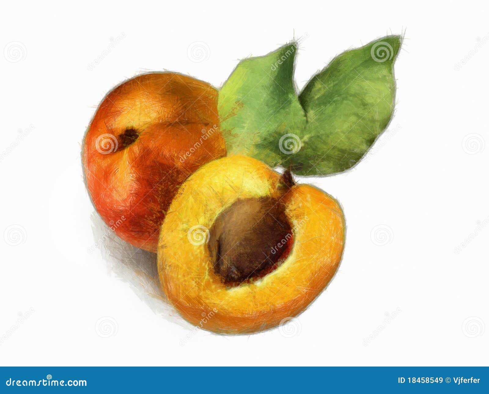 Peach Core Stock Illustrations – 236 Peach Core Stock Illustrations ...
