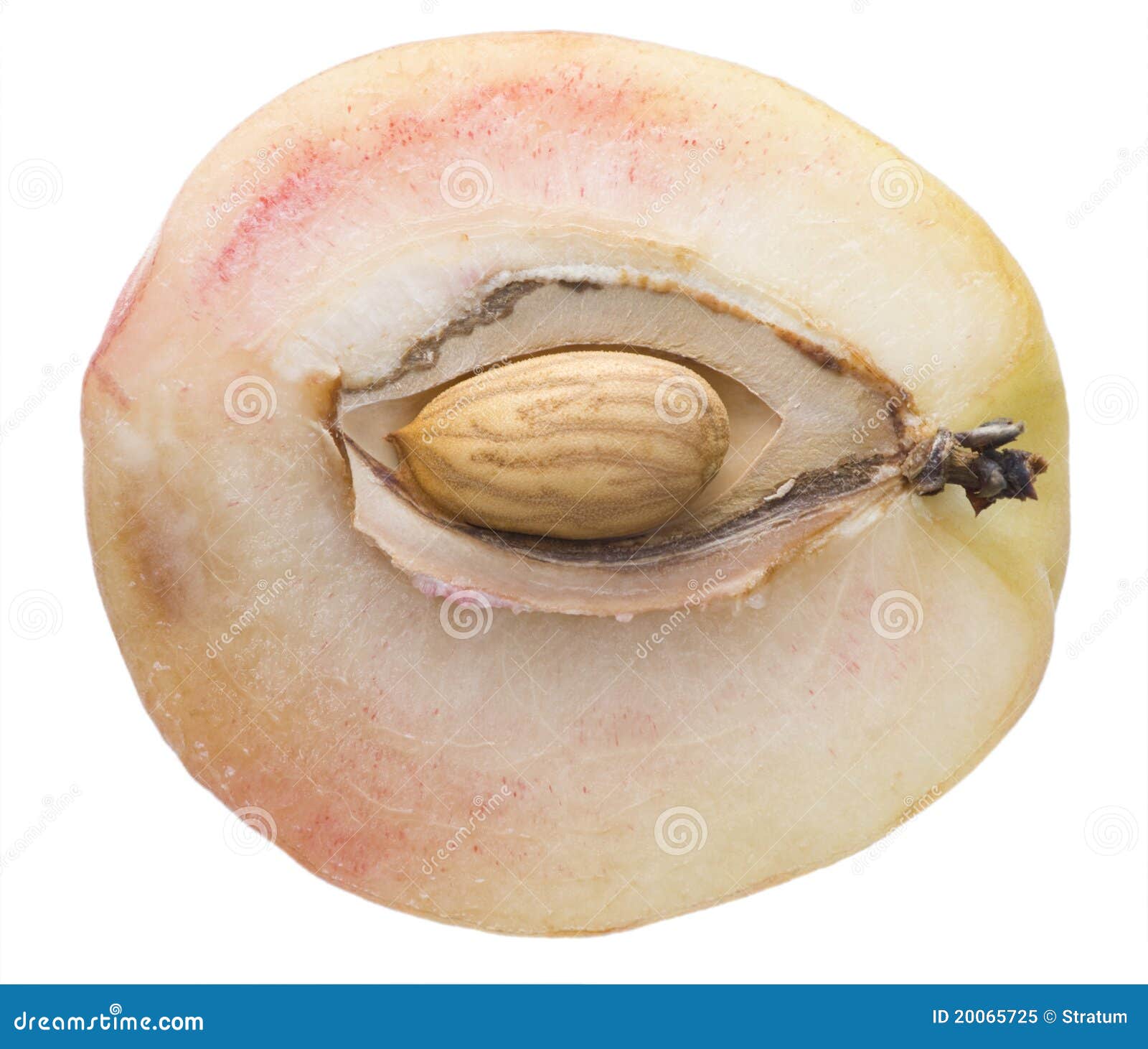 Peach stock image. Image of juicy, seedage, isolated - 20065725
