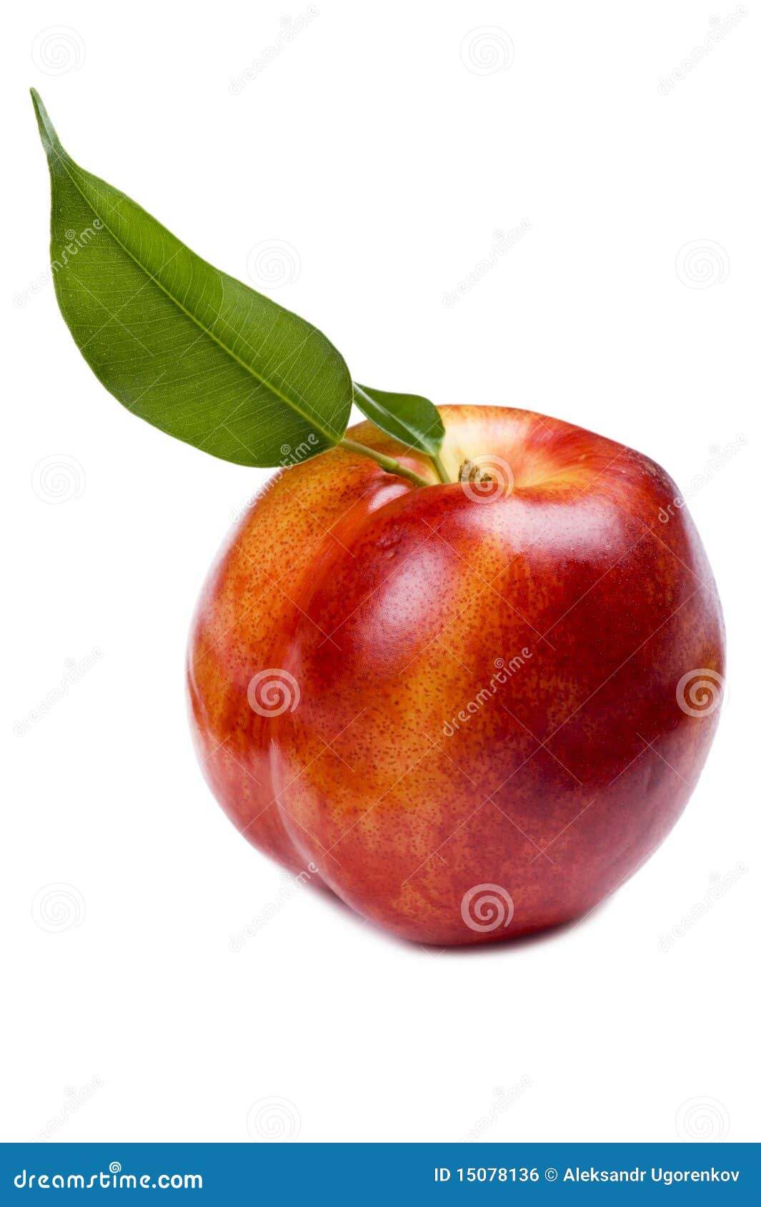 Peach close up stock photo. Image of nutrition, sweet - 15078136